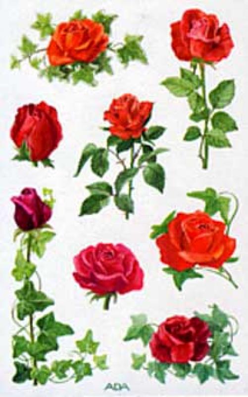 Blumen Papier Sticker Rosen
